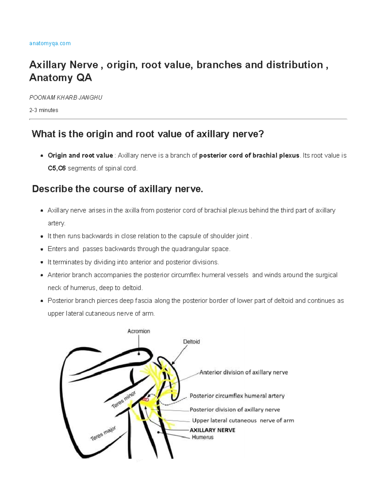 Anatomy QA: Axillary Nerve - Origin, Branches & Injury (ANAT101) - Studocu