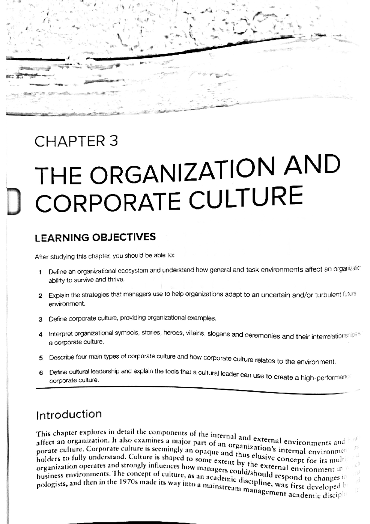 Chapter 3 - Notes on Corporate Culture and Organizational Environment ...