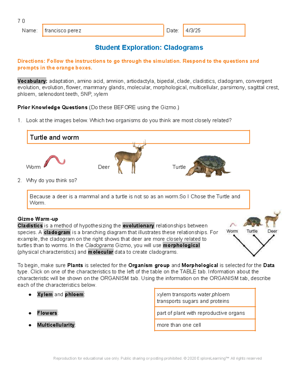Cladograms Exploration: Understanding Evolutionary Relationships (SE ...