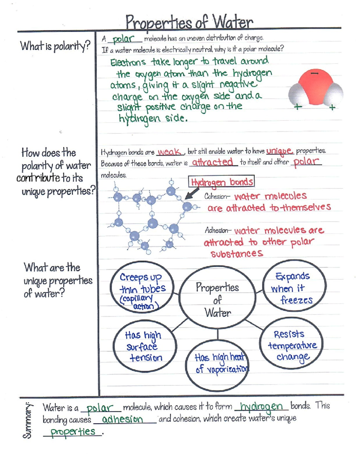 Properties of Water and Its Unique Polarity - Notes - Studocu