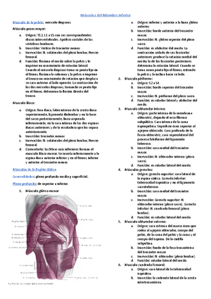 Intestino Grueso - Resumen Anatomía Humana - INTESTINO GRUESO ...