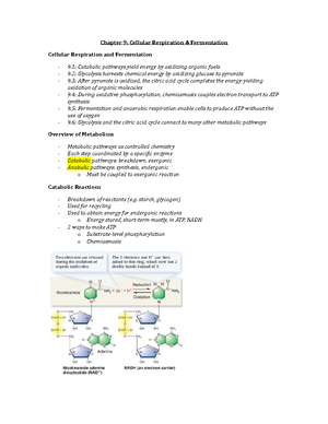 General Biology 1 Notes - General Bio 1 Notes Chapter 1: Science of ...