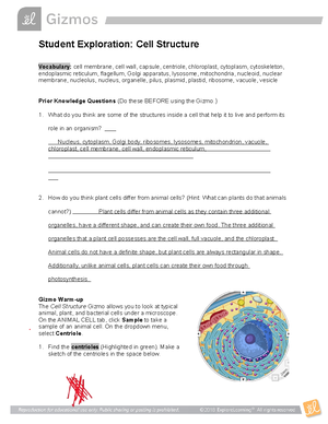 Bto S Class Homework 18 - Fossil and Volcanoes - Name: Fossils: Clues ...