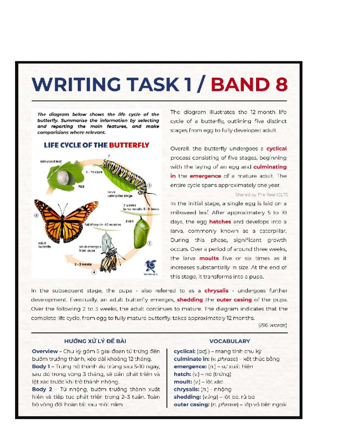 IELTS WRITING TASK 1: Life Cycle of the Butterfly - Studocu