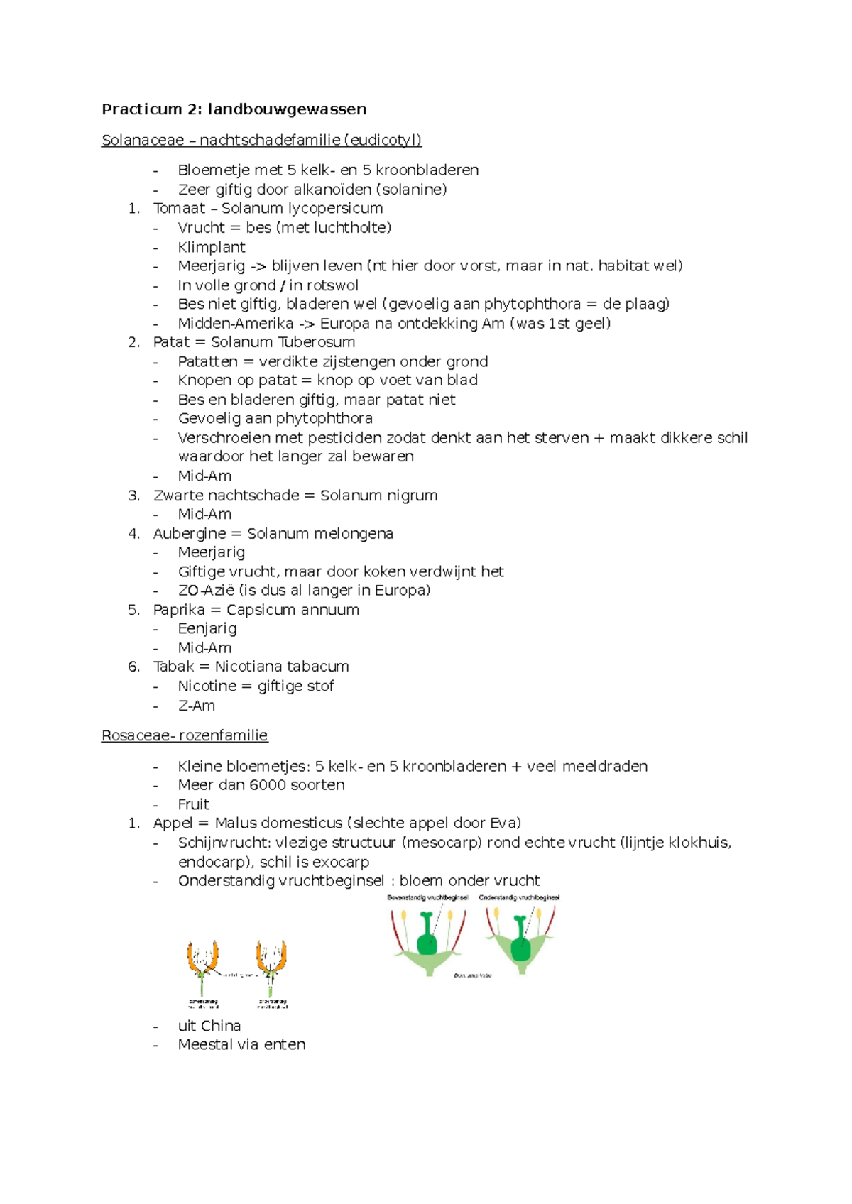 Practicum 2 & 3: Landbouwgewassen en Bomen (Eudicotyl) - Studocu