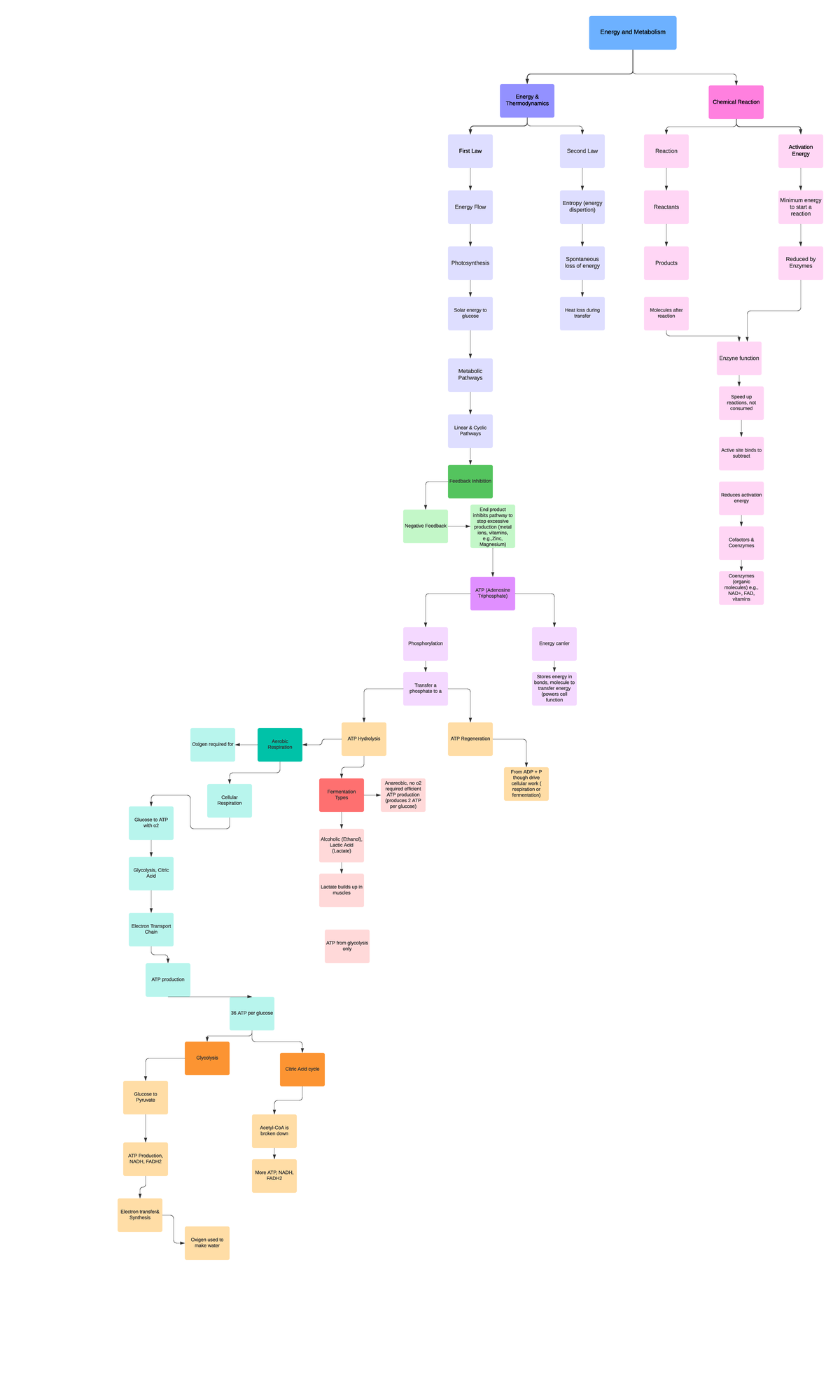Concept Map: Energy and Metabolism Overview in BIO101 - Studocu