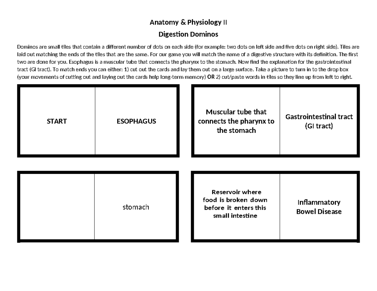 Digestion Dominos - helpful for exam - Anatomy & Physiology II ...