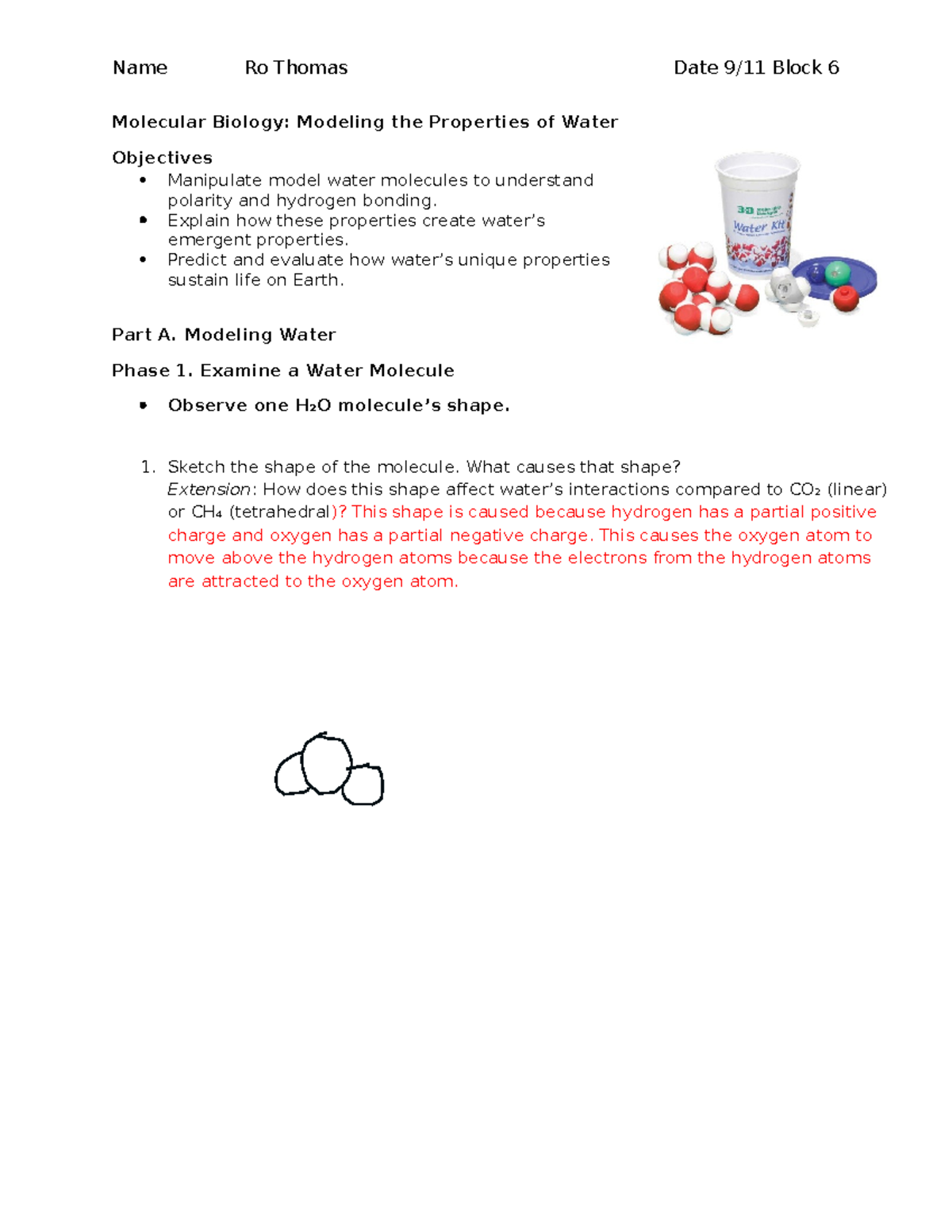 Molecular Biology Block 6: Water Properties Modeling Activity - Studocu