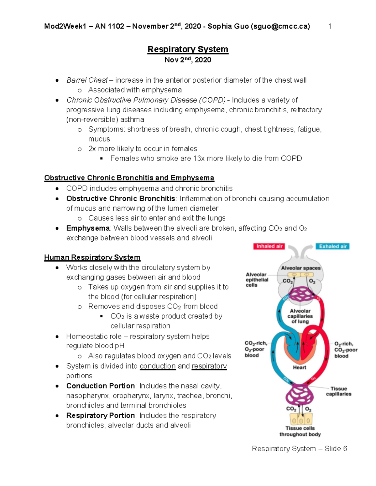 Respiratory System Overview Notes - Mod2Week1 AN 1102 - Respiratory ...