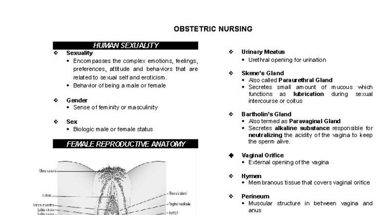 OBN 101: Comprehensive Guide to Human Sexuality in Obstetric Nursing ...