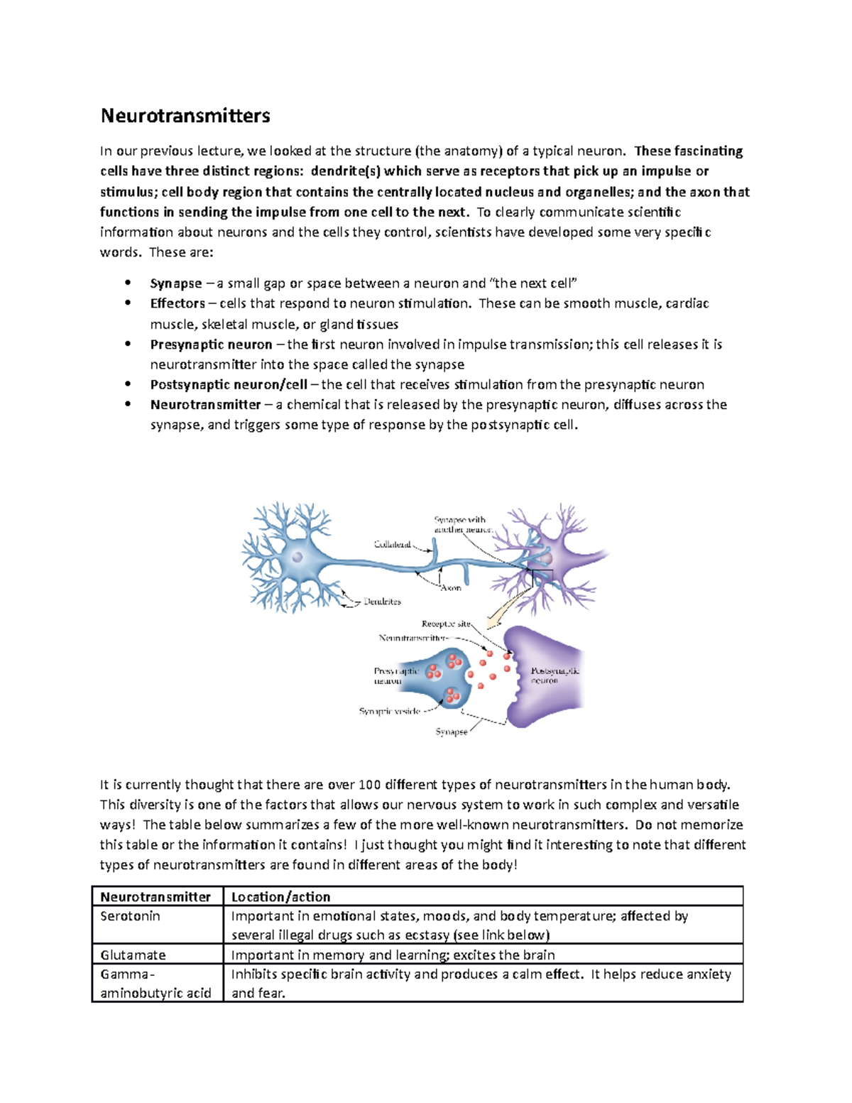 Lecture 8: Understanding Neurotransmitters and Their Functions - Studocu