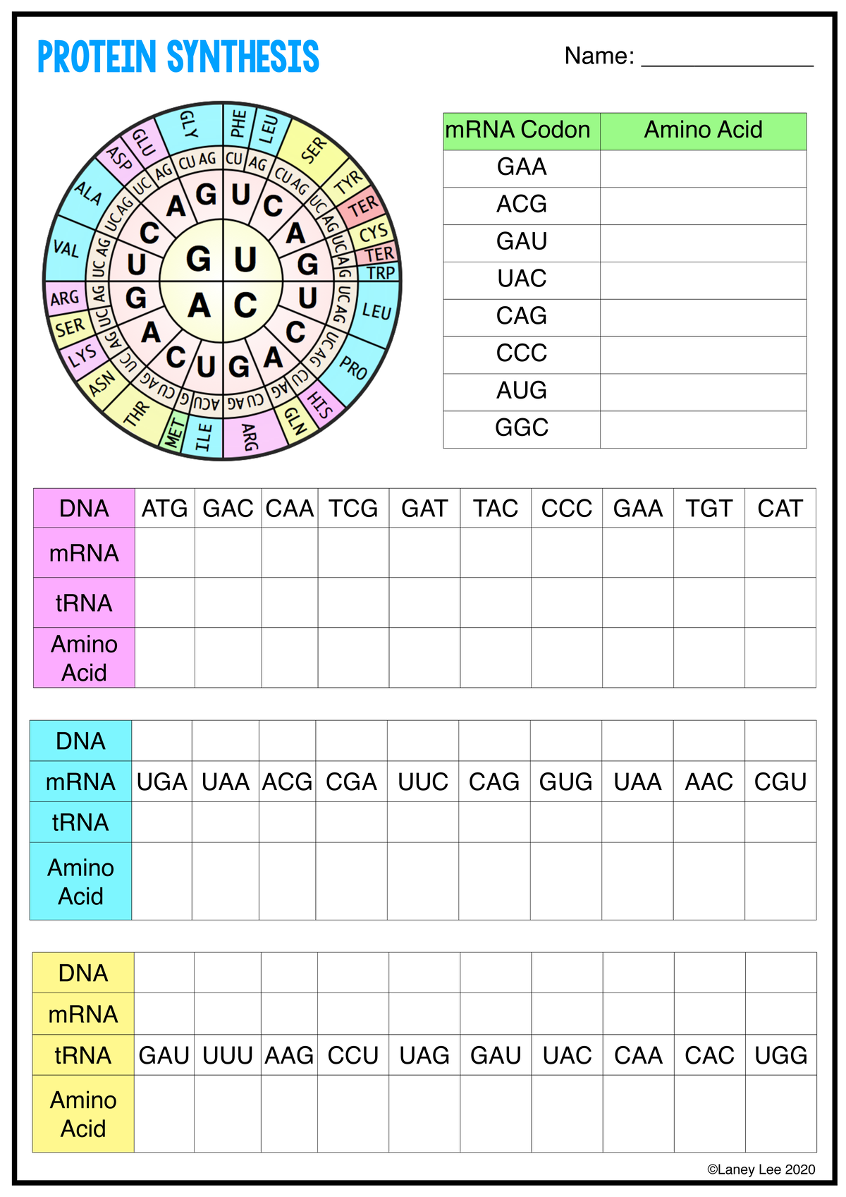 Protein Synthesis Practice Notes for Biology 101 - Studocu