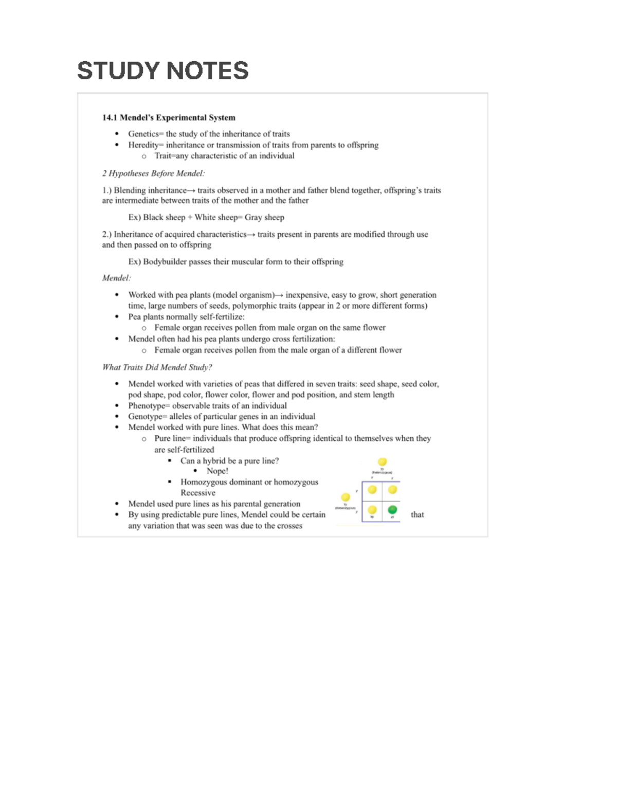 Chapter 14- Study Notes - STUDY NOTES ï ï ï Chapter 14 Mendel and the ...