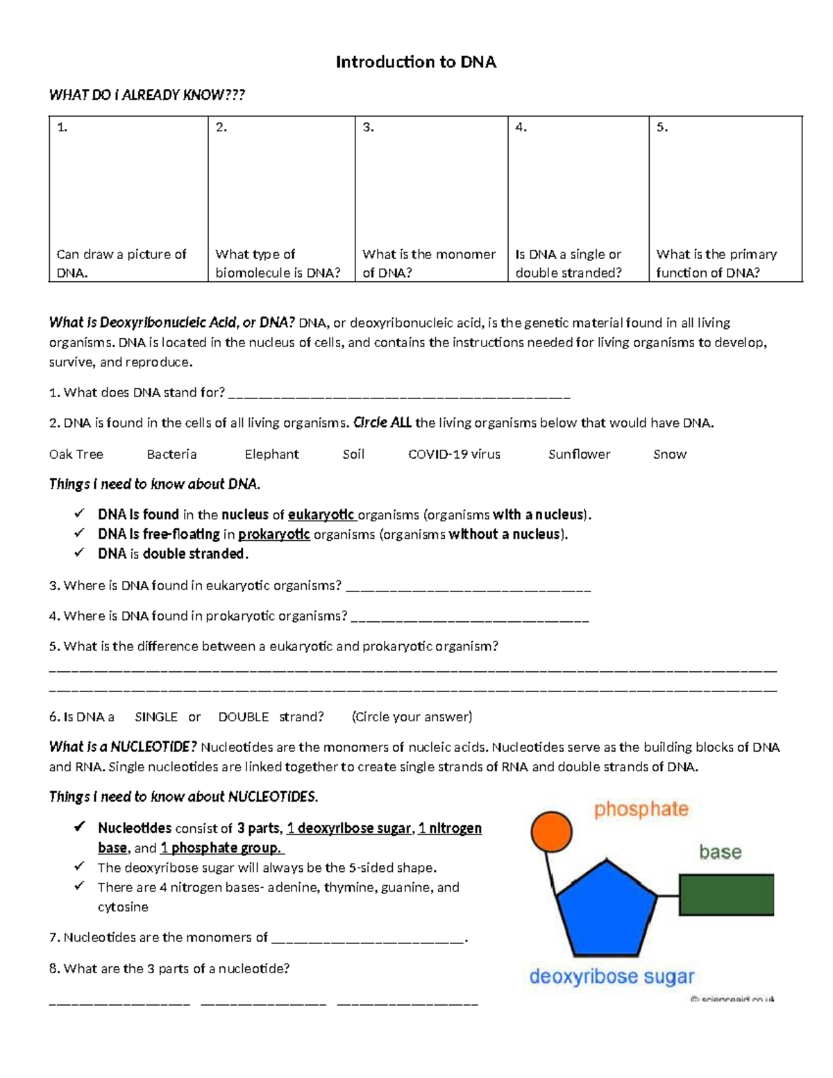 DNA Introduction - Fill in the Blank Worksheet for Students - Studocu