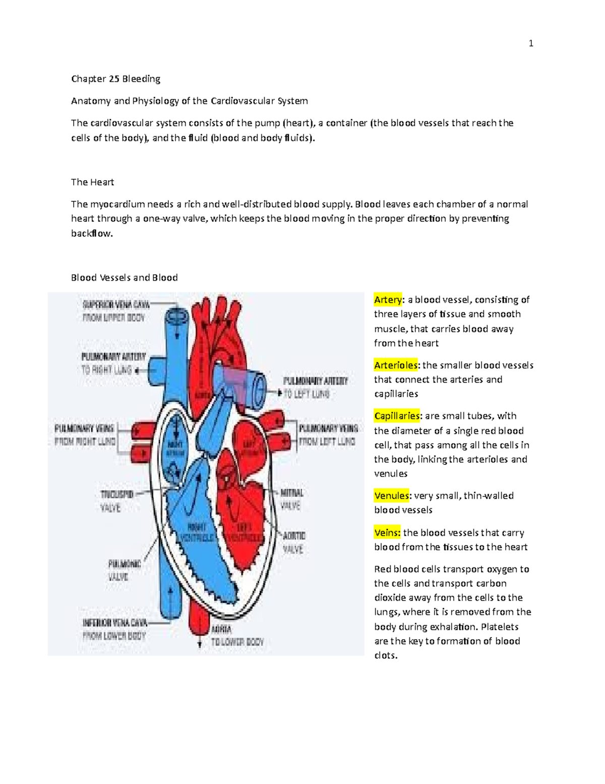 Chapter 25 Bleeding - These notes are based out of the Emergency Care ...