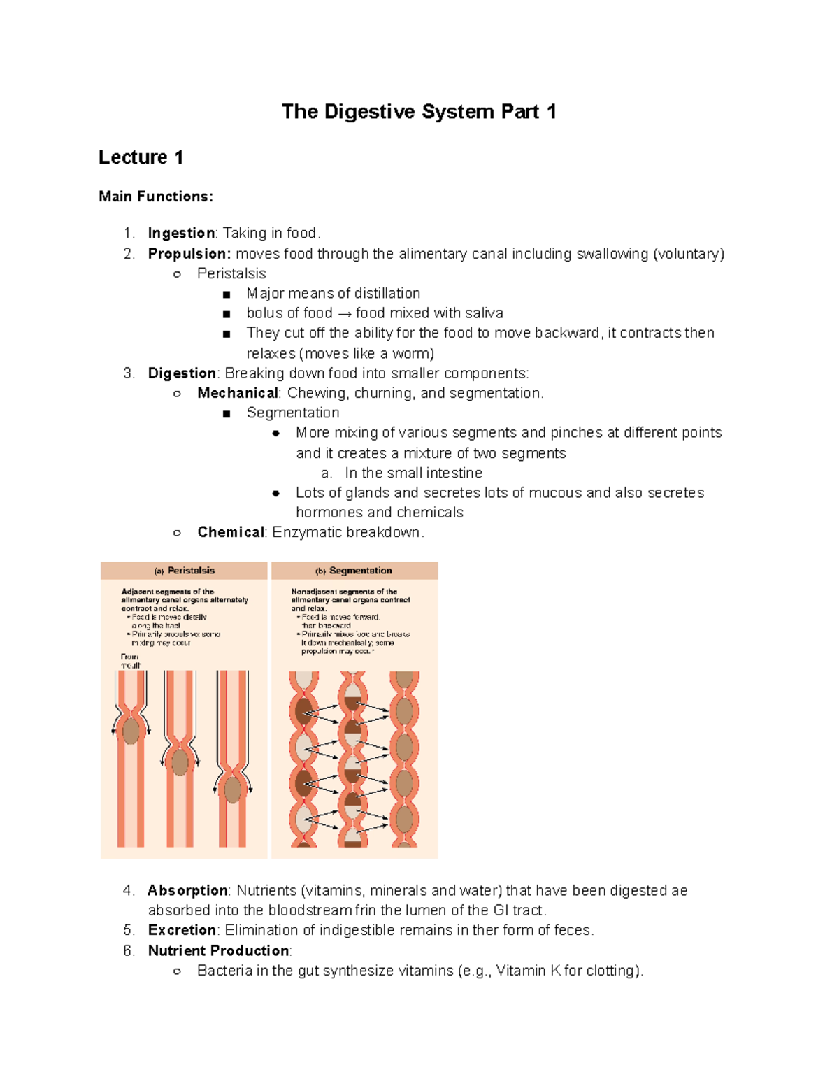 ANP 1107 - Lecture 1: Exploring the Digestive System Part 1 - Studocu