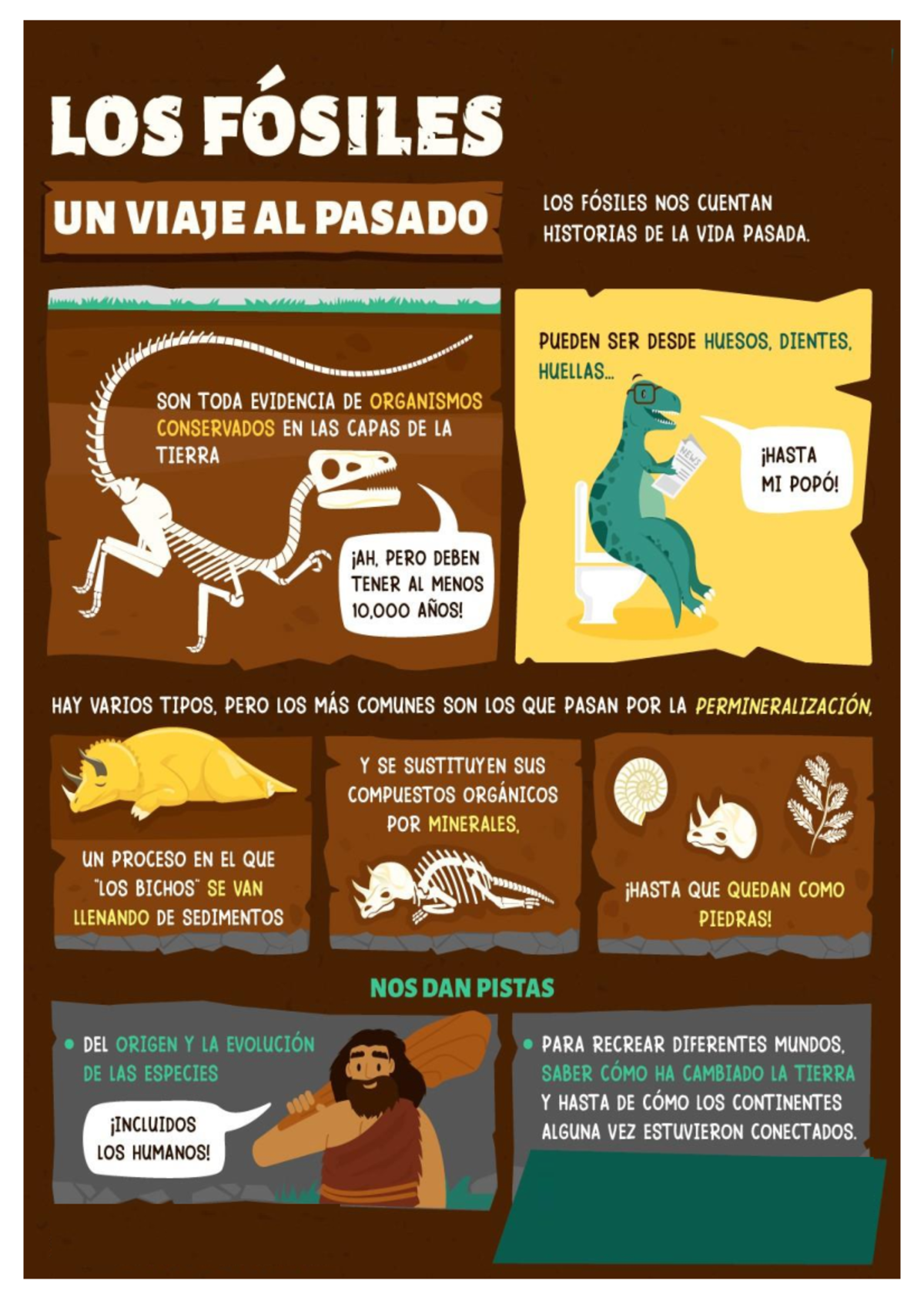 Fosiles banner - biologia - LOS FOSILES LOS FÓSILES NOS CUENTAN UN ...