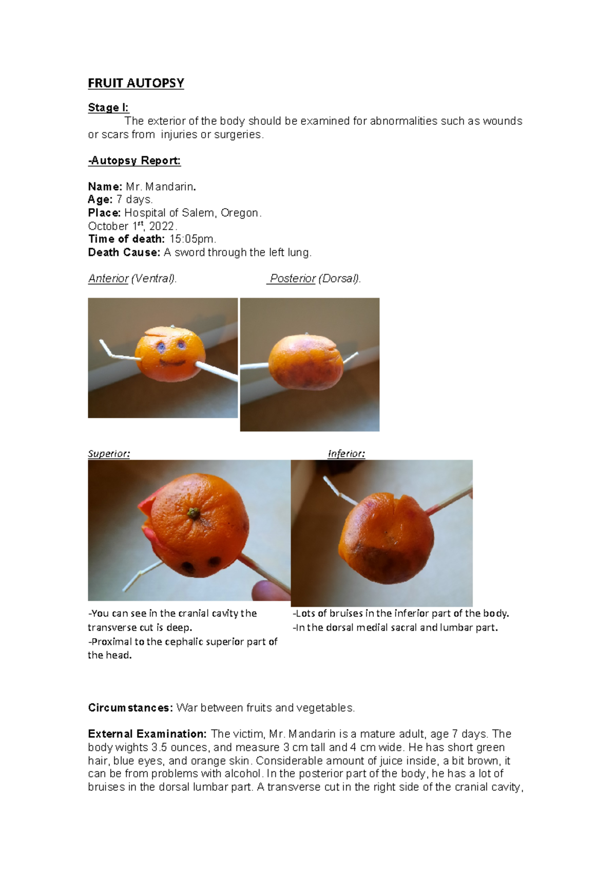 Anatomy Autopsy Mandarin - FRUIT AUTOPSY Stage I: The exterior of the ...