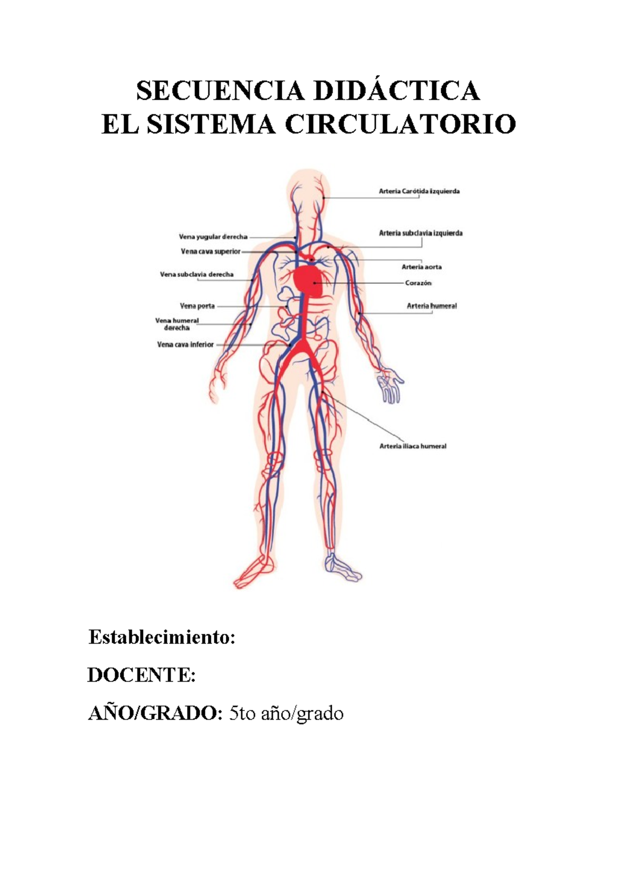 Secuencia Didáctica del Sistema Circulatorio - 5to Grado - Studocu