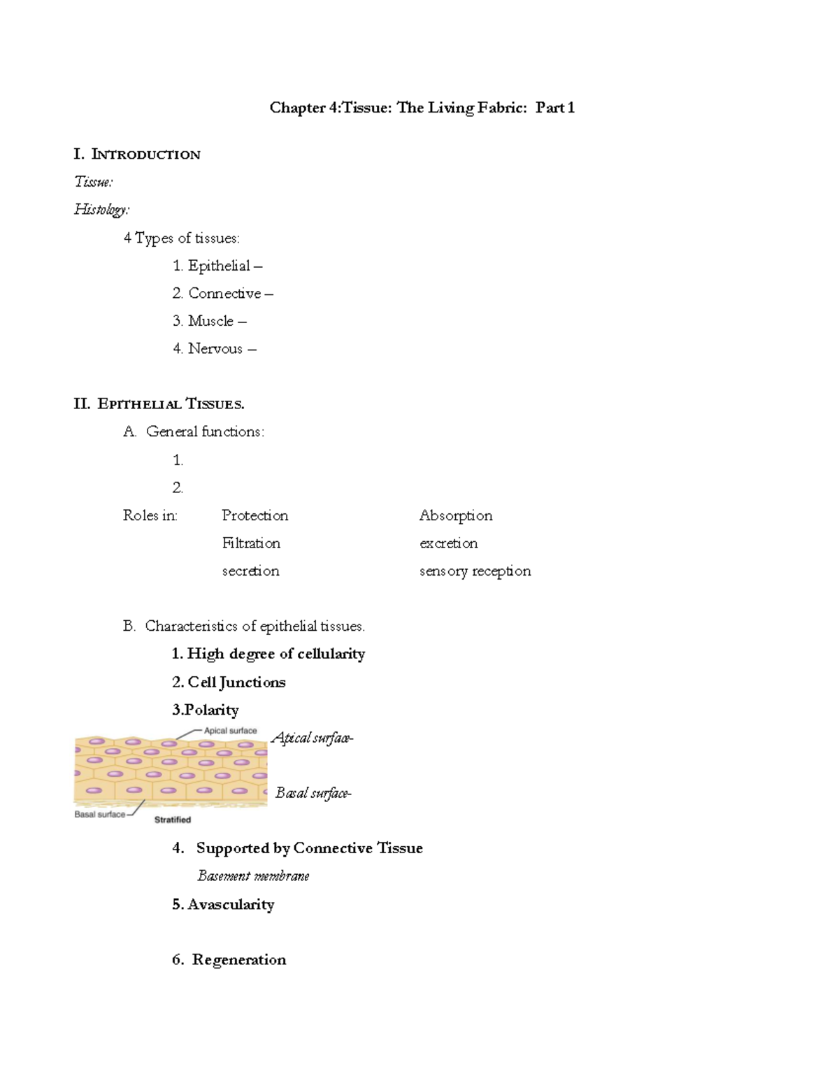 Chapter 4: Histology - Tissue Types & Functions Overview - Studocu