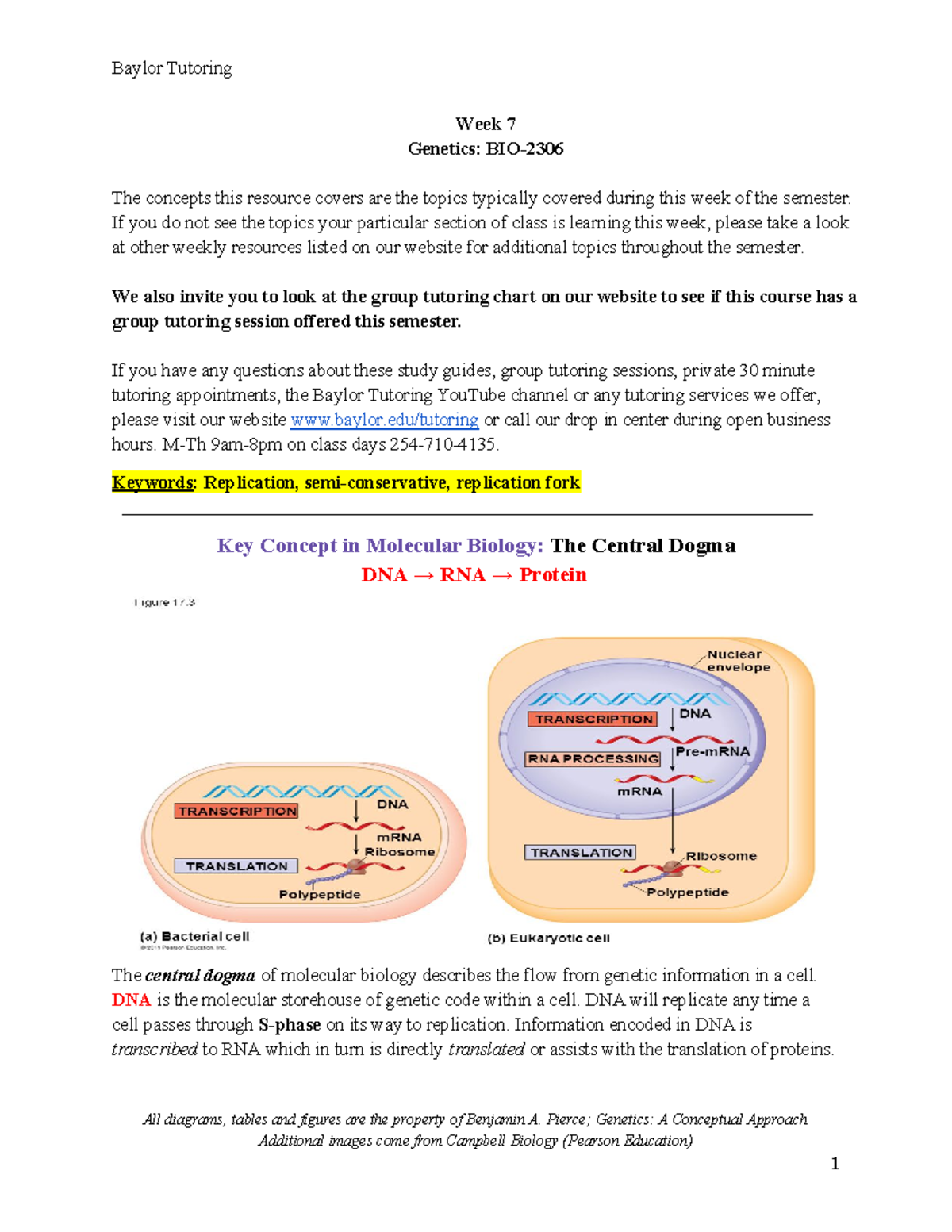 Central Dogma of molecular biology - Week 7 Genetics: BIO- The concepts ...