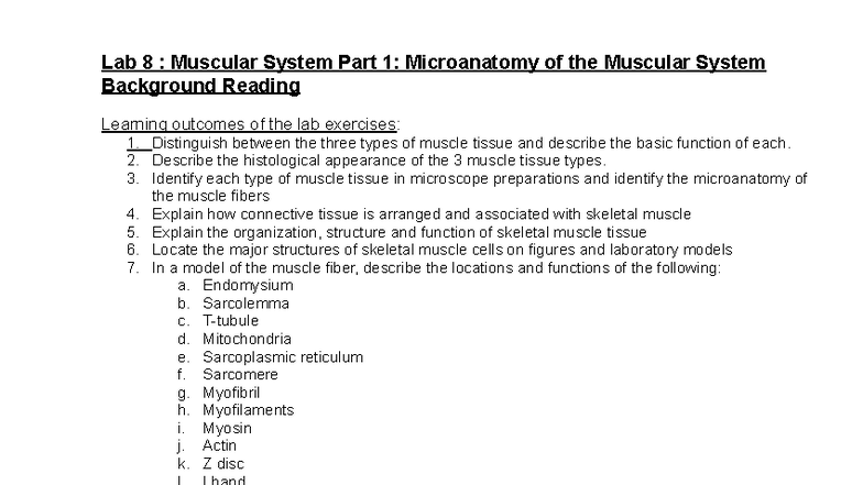 Lab 8: Microanatomy of the Muscular System - Structure & Function - Studocu