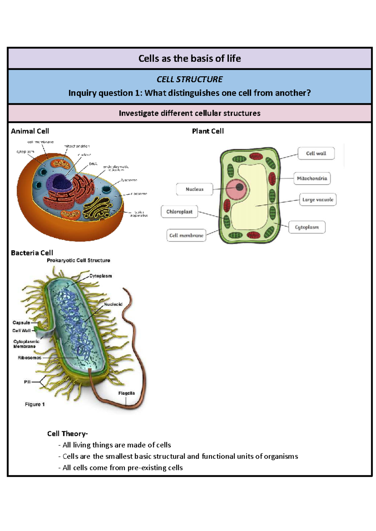 Cell Structure and Function: A Comprehensive Overview - Studocu