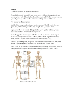 Unit 11 - Overview of the Human Muscular & Skeletal Systems - Studocu