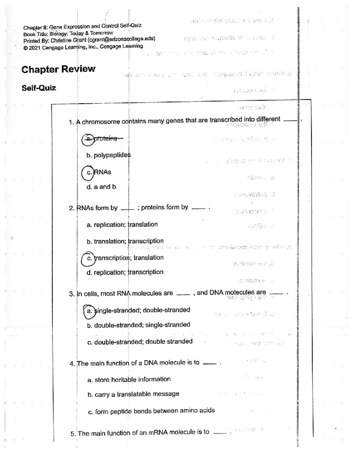 Chapter Review: Gene Expression and Control Self-Quiz - Studocu