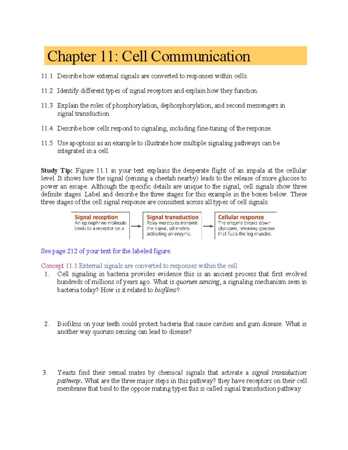 Chapter 11: Signal Transduction & Cellular Communication Overview - Studocu