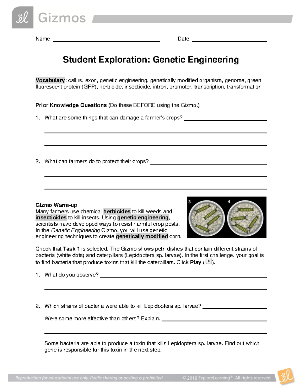 Genetic Engineering in Agriculture: SE Study Guide and Activities - Studocu