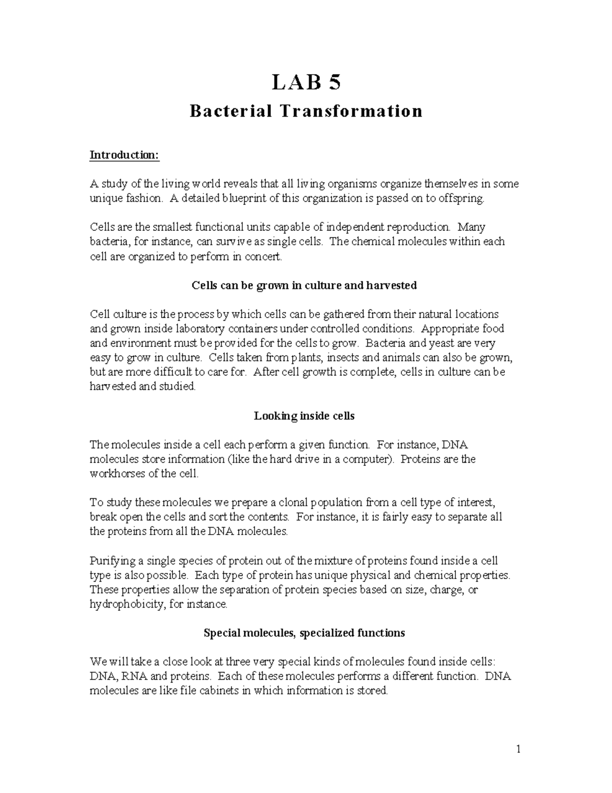 BIOL1002 Final Exam Lab 5: Understanding Bacterial Transformation - Studocu