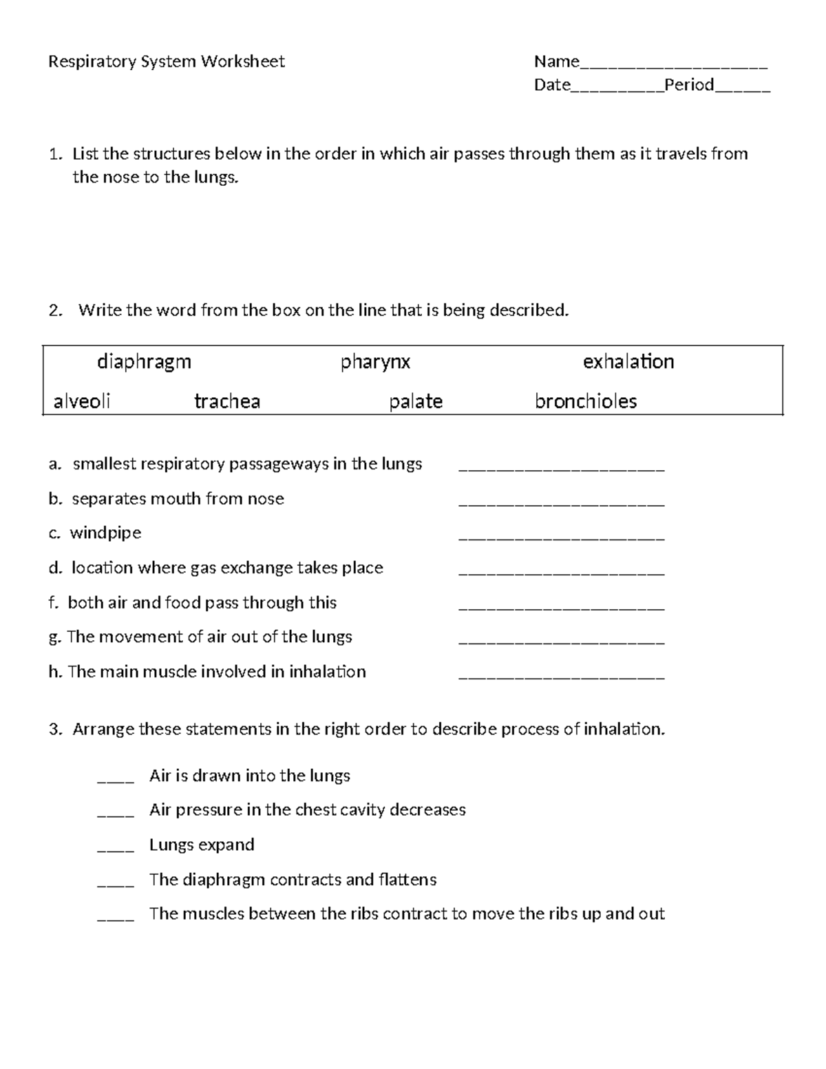 Respiratory System Worksheet 1: Air Passage & Functions - Studocu