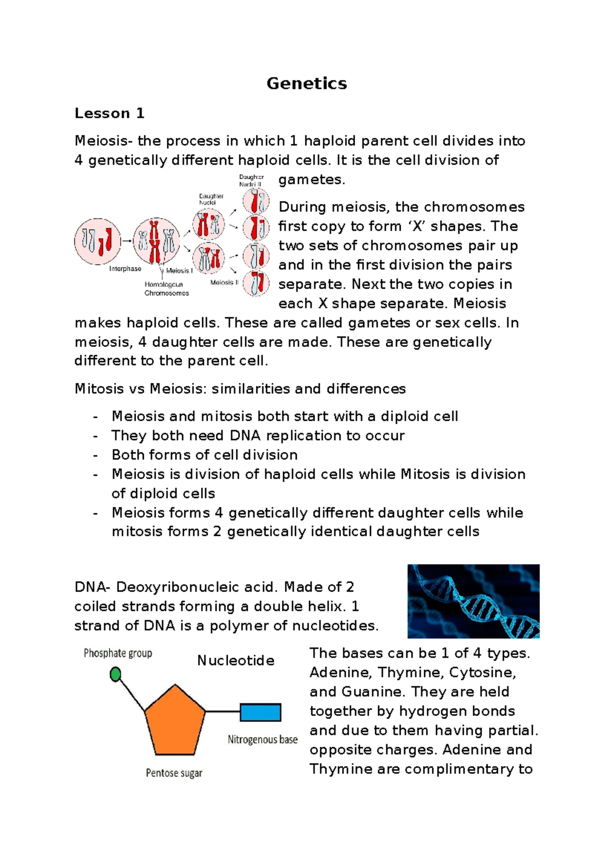Genetics Overview: Meiosis, Mutations, and Punnett Squares - Genetics ...