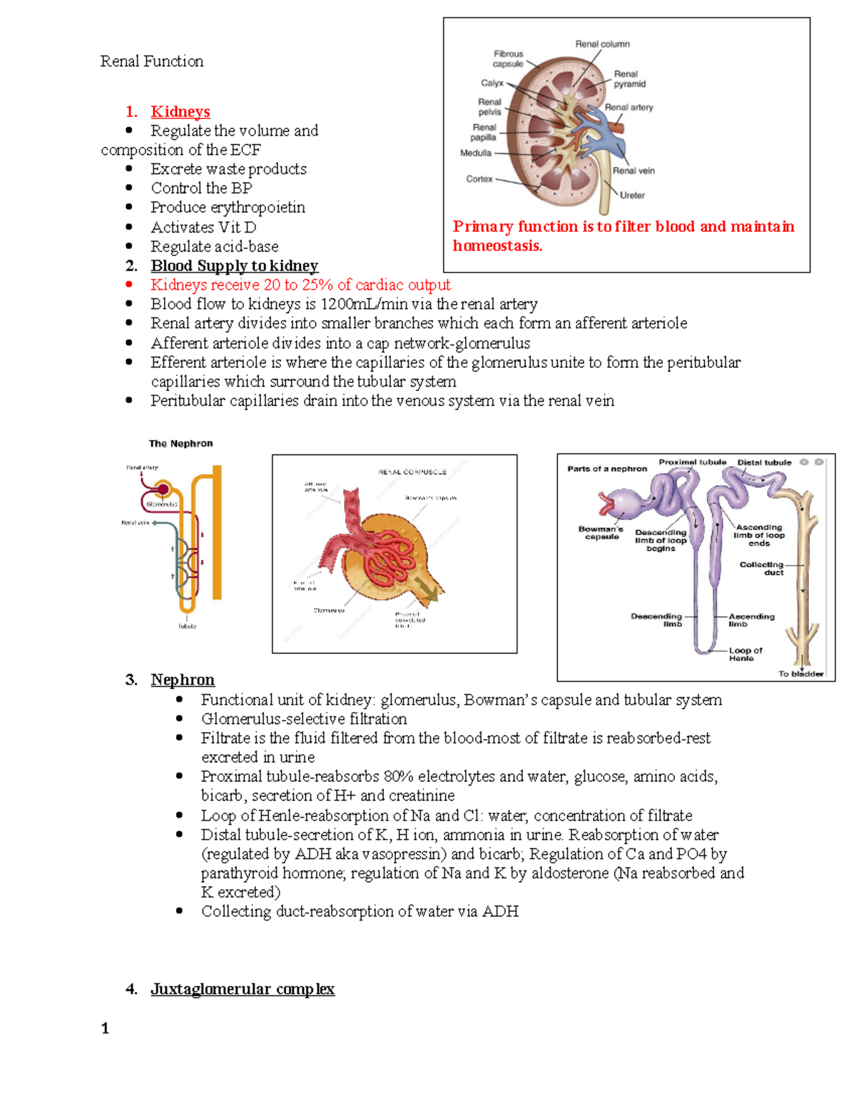 Renal assessment-student - Kidneys Regulate the volume and composition ...
