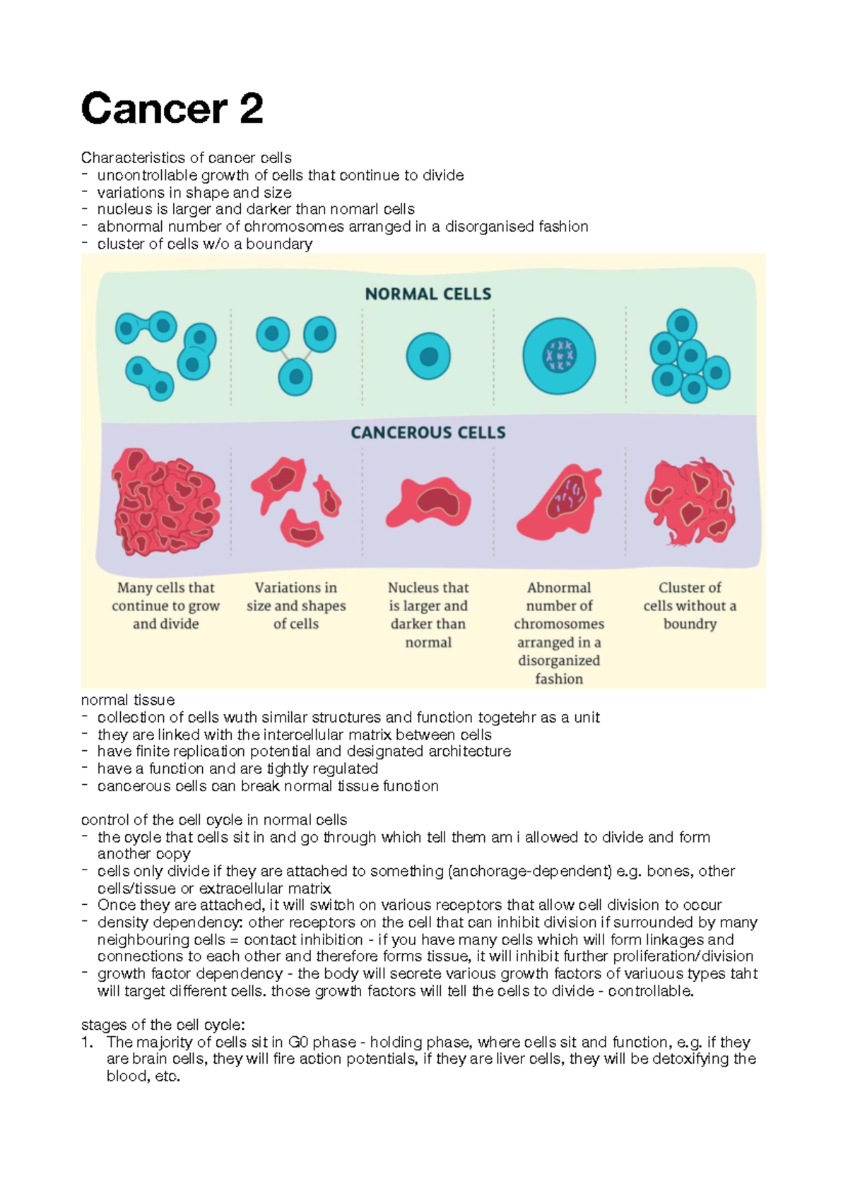 Cancer 2: Characteristics, Cell Cycle, and Hallmarks of Cancer - Studocu