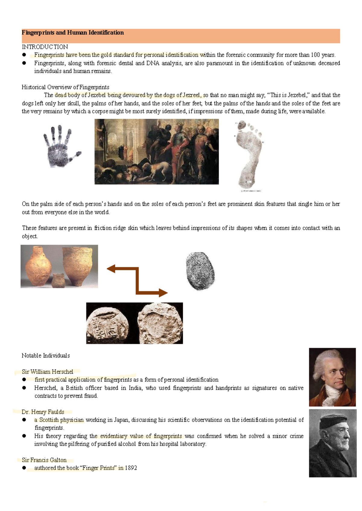 Fingerprints & Human Identification: Forensic Fundamentals and History ...