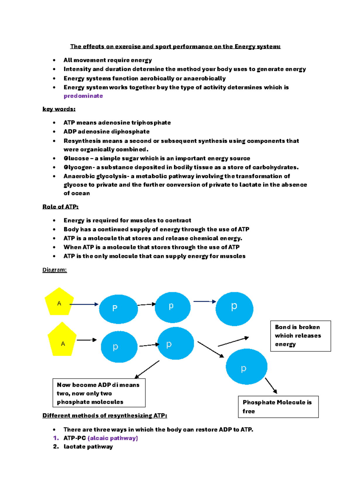 Energy Systems in Exercise and Sport Performance (Course Code: PE101 ...