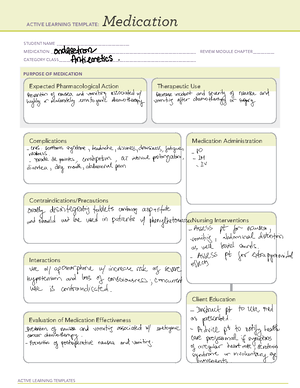 Active Learning Template sys Dis - ACTIVE LEARNING TEMPLATES ...