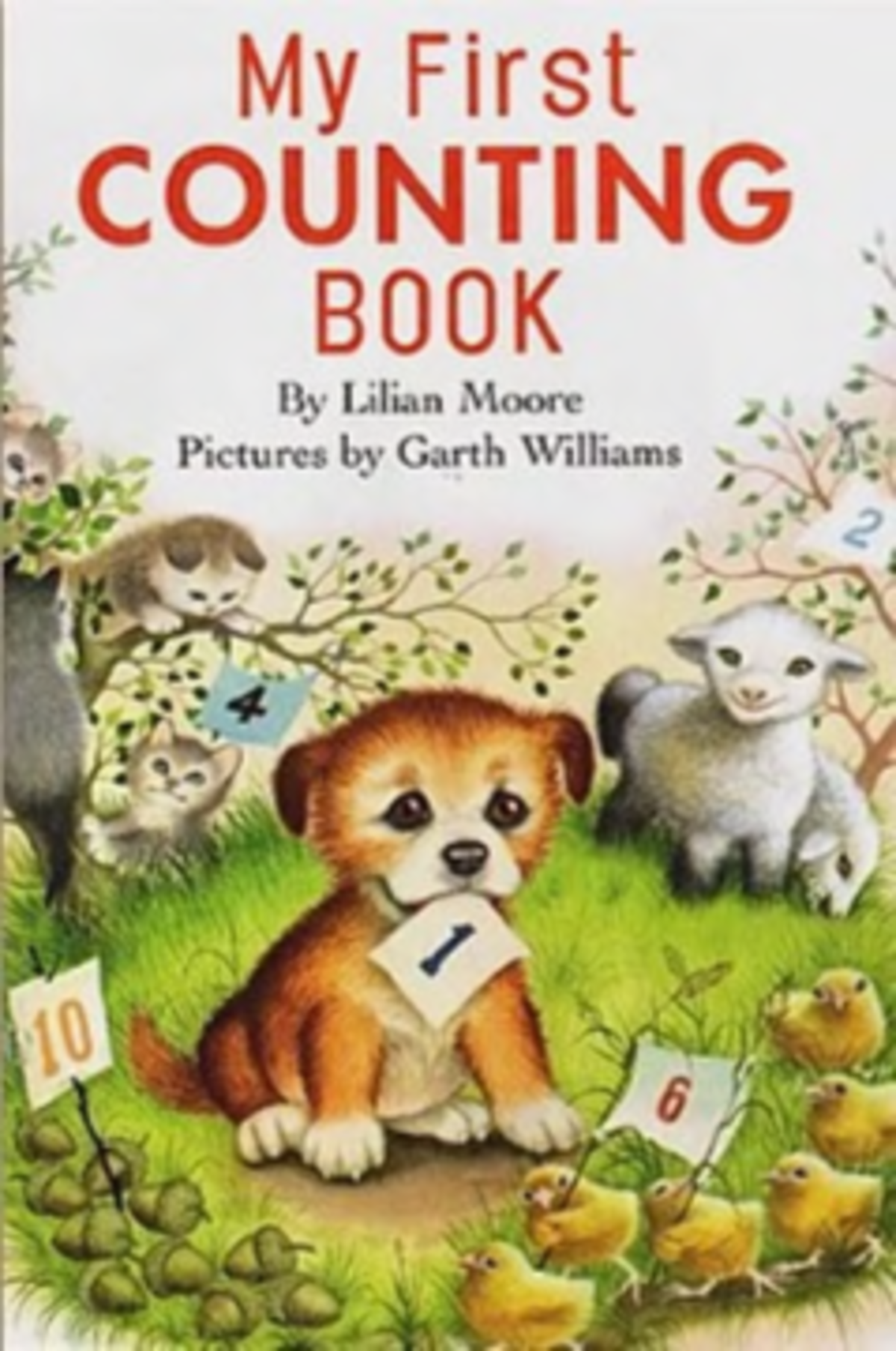 My First Counting Book - Essential Notes for Early Learners - Studocu