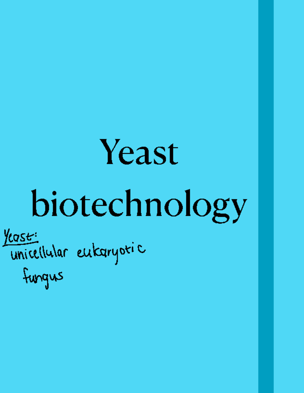Yeast Biotechnology - Yeast biotechnology ascellular eukaryotic fungus ...