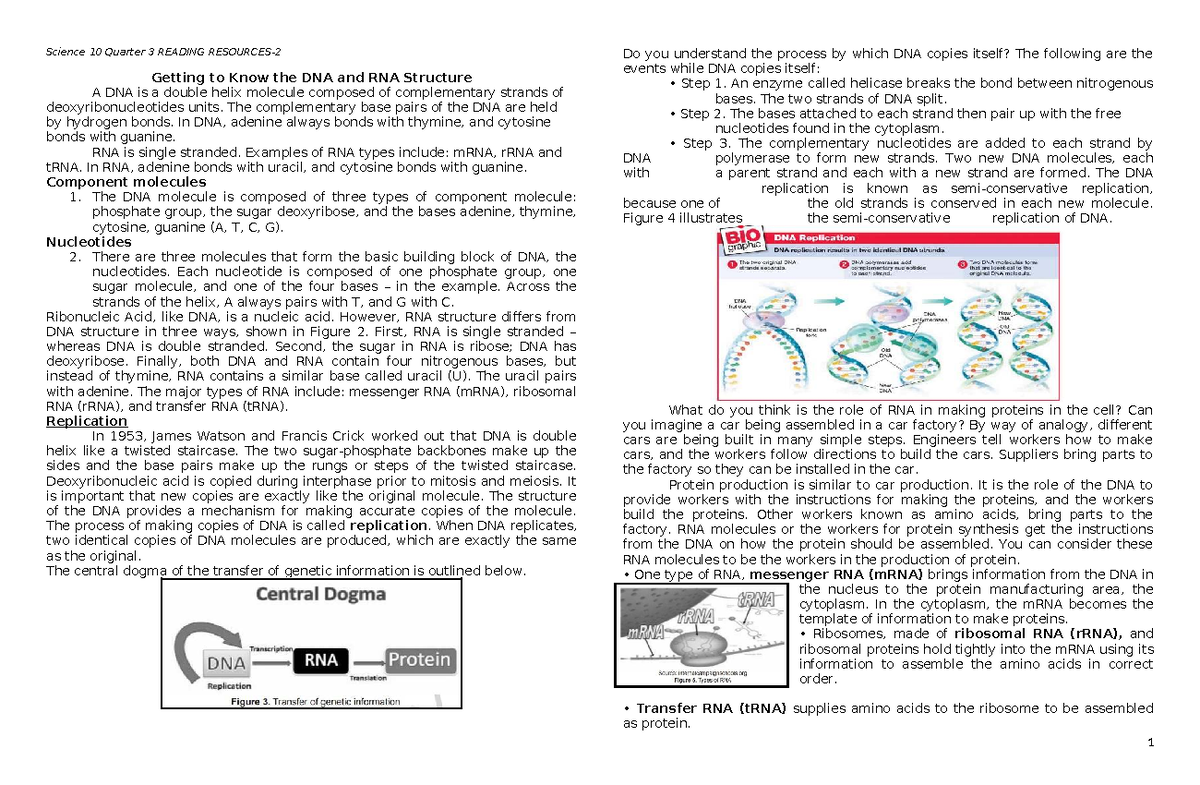 Science 10 Q3 Reading: Understanding DNA & RNA Structures and Functions ...
