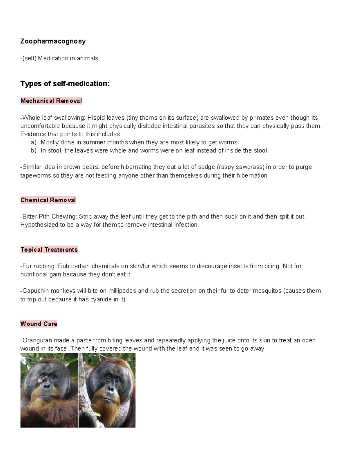 Zoopharmacognosy: Animal Medication & Natural Remedies Insights - Studocu