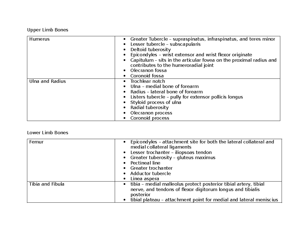 Upper and Lower Limb Musculoskeletal Anatomy Notes (ANAT101) - Studocu