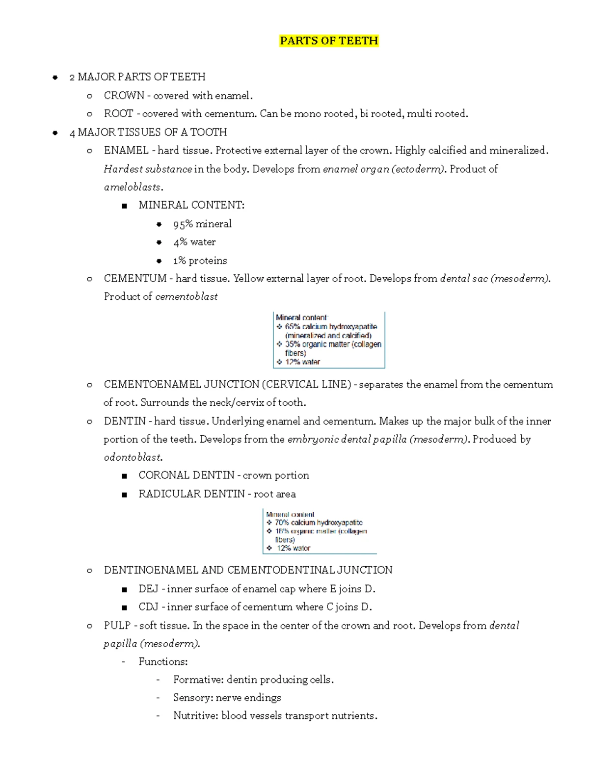 Oral Anatomy Tooth Morphology - TOOTH MORPHOLOGY DIVISION (THIRDS) OF ...