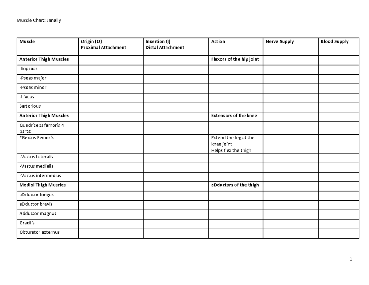 Muscle Chart: Anterior, Medial, and Posterior Thigh Muscles Overview ...