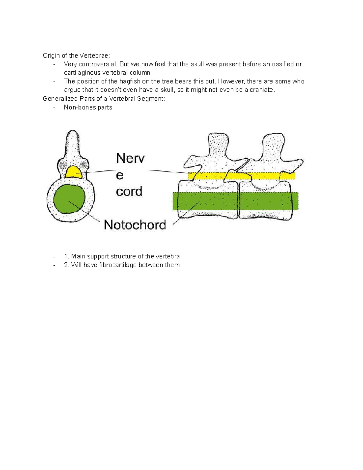 Vertebrate Anatomy (BIO 101): Overview of Vertebral Column Evolution ...