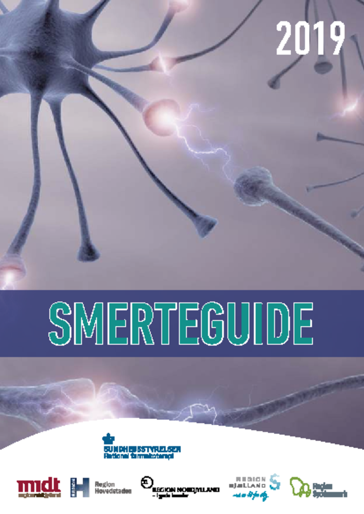 Smerteguide SST 2019: Indholdsfortegnelse og Behandlingsplan - Studocu