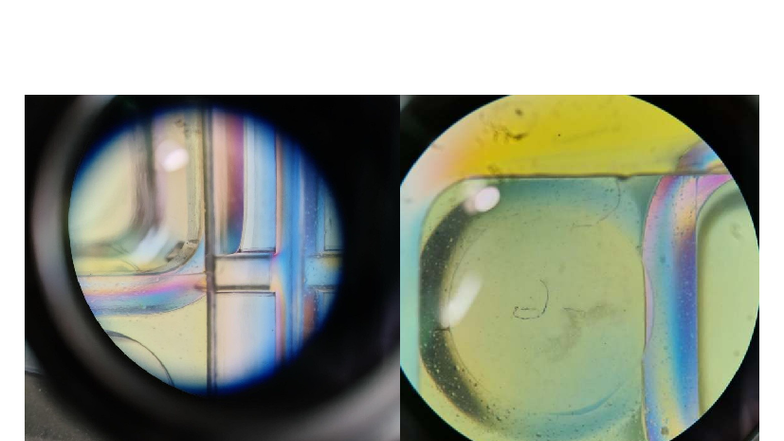 Document - Helpful notes - B com honors - 6X Histidine tag GFP Cell ...