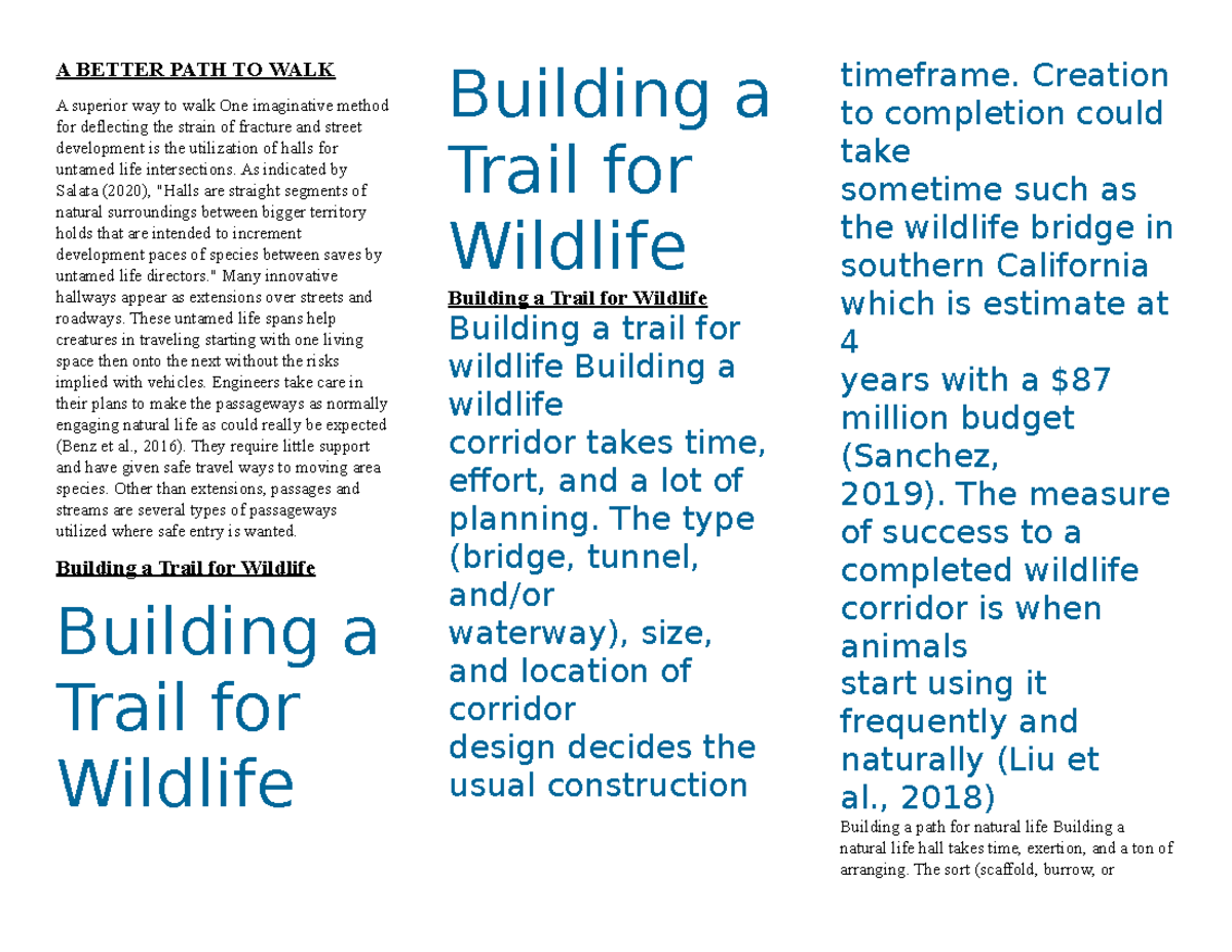 Phamplet - Assignement - A BETTER PATH TO WALK A superior way to walk ...